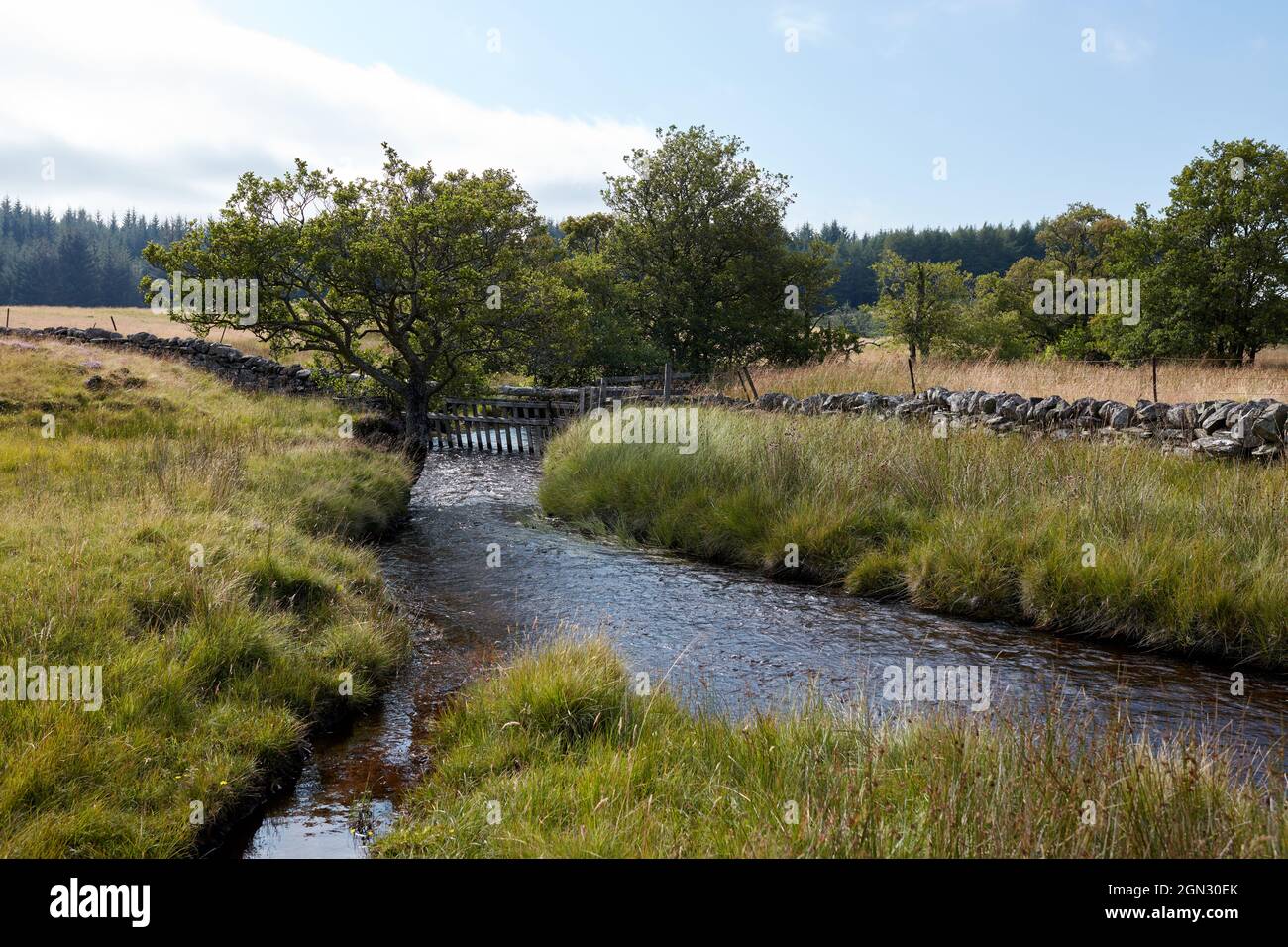 Trockener nebenfluss -Fotos und -Bildmaterial in hoher Auflösung – Alamy