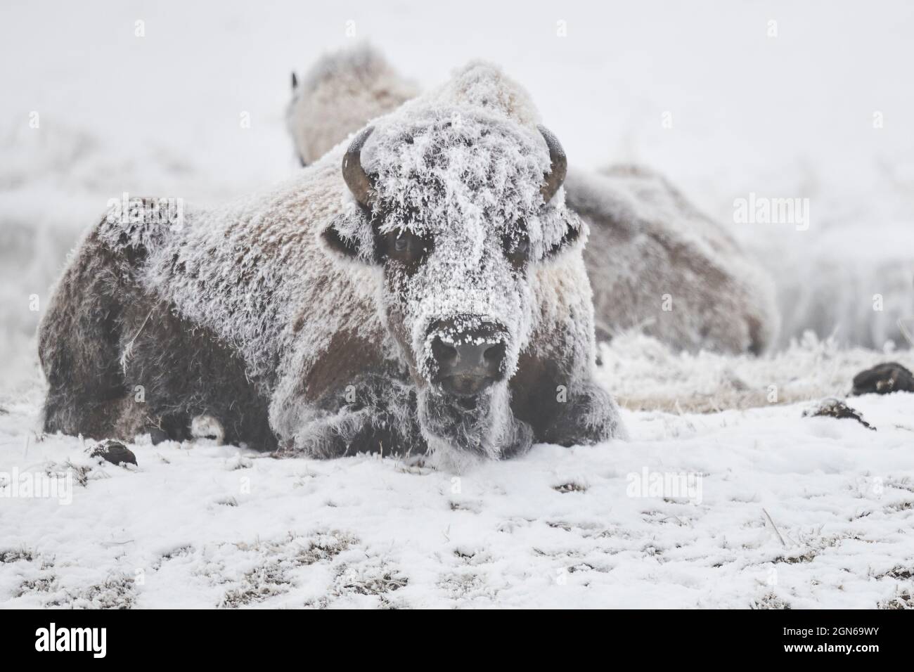 Le montana -Fotos und -Bildmaterial in hoher Auflösung – Alamy