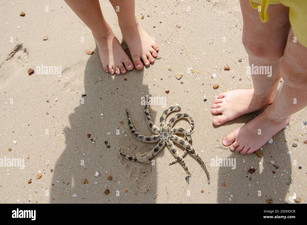 Kinder barfuß thailand -Fotos und -Bildmaterial in hoher Auflösung – Alamy