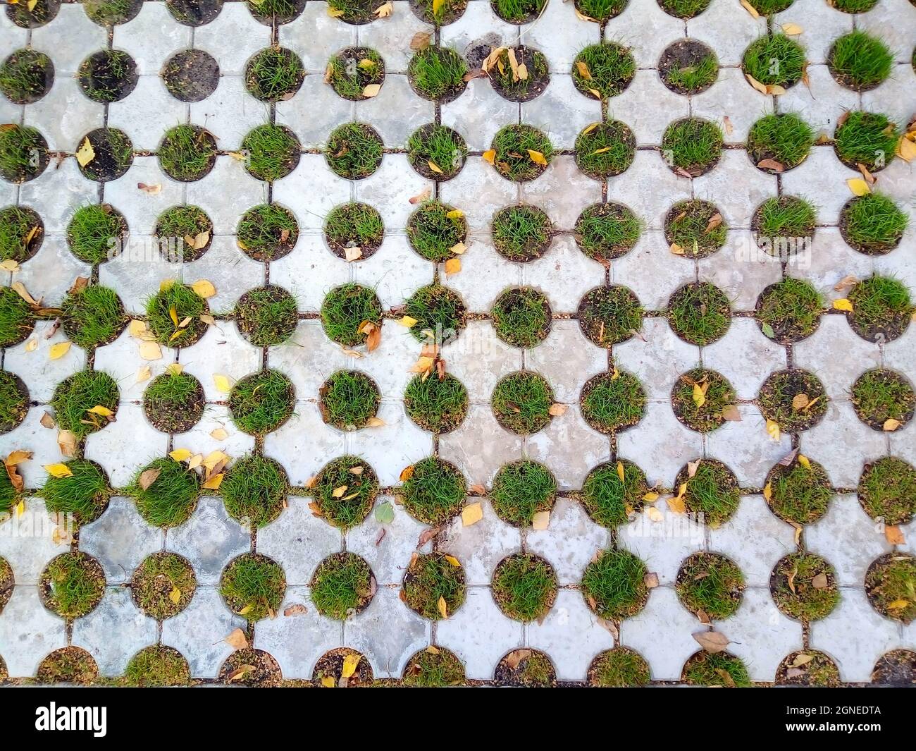 Grass pattern stones pflastersteine -Fotos und -Bildmaterial in hoher ...