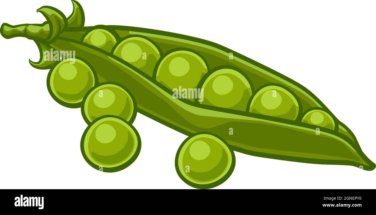 Erbse cartoon -Fotos und -Bildmaterial in hoher Auflösung – Alamy
