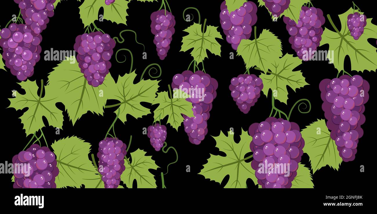 Trauben auf busch Stock-Vektorgrafiken kaufen - Alamy
