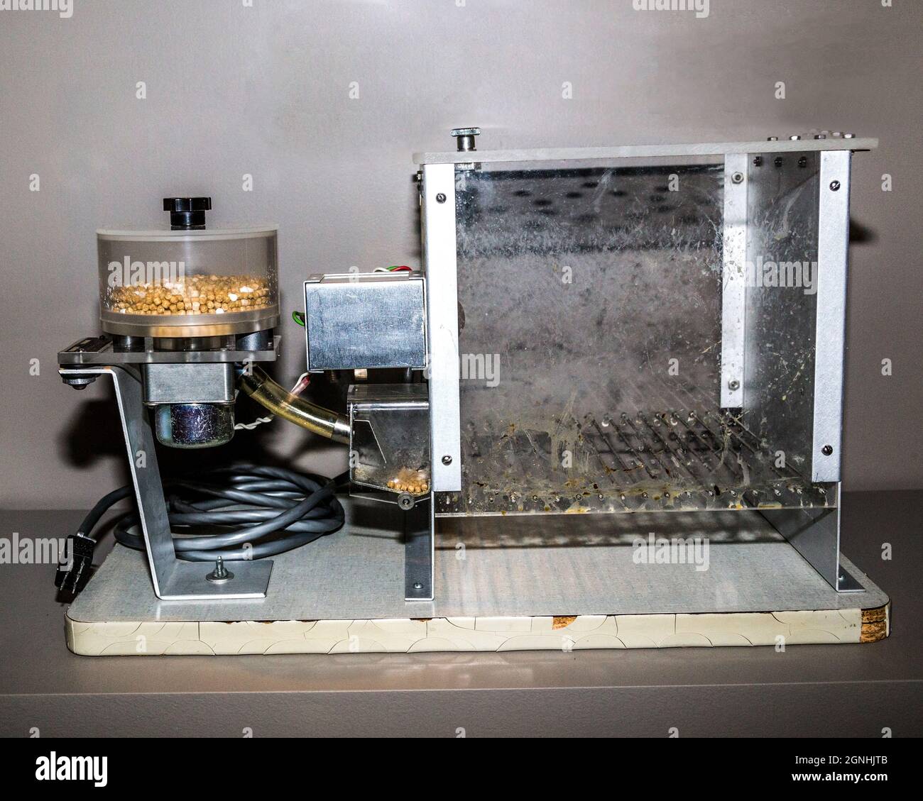 Skinner box -Fotos und -Bildmaterial in hoher Auflösung – Alamy