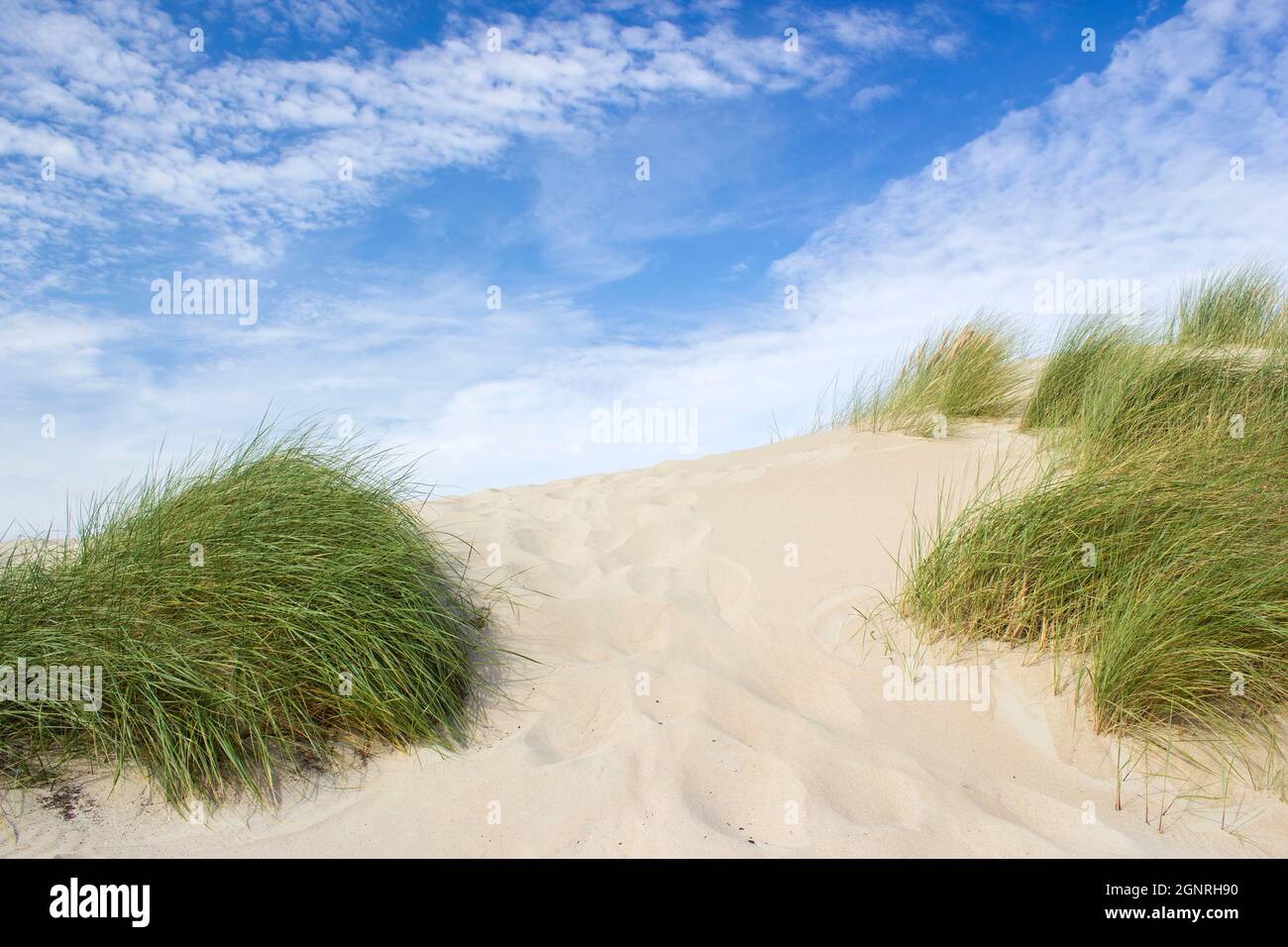Renesse holland -Fotos und -Bildmaterial in hoher Auflösung – Alamy