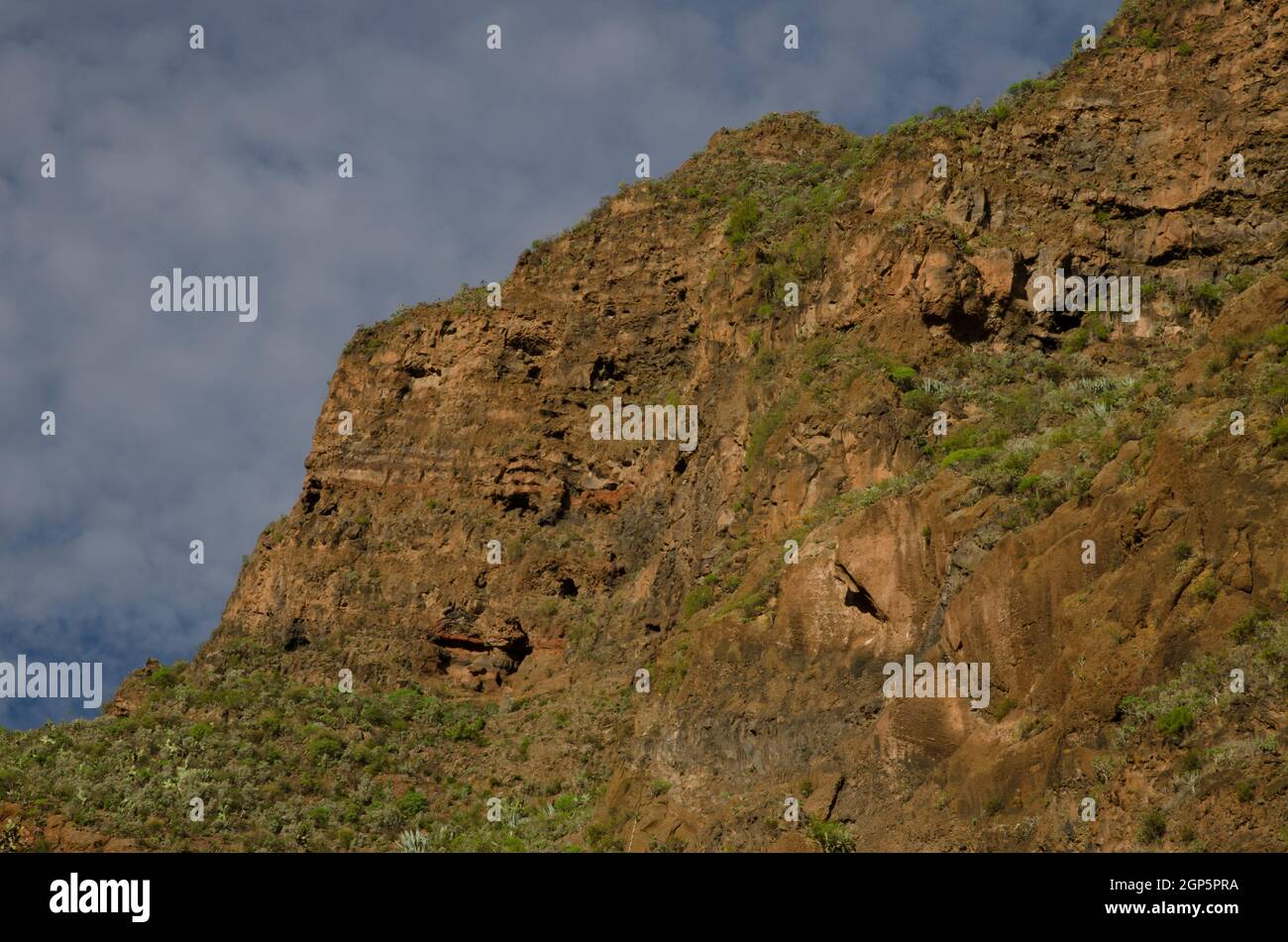 Klippe in der Guayadeque Schlucht. Guayadeque Ravine Natural Monument ...