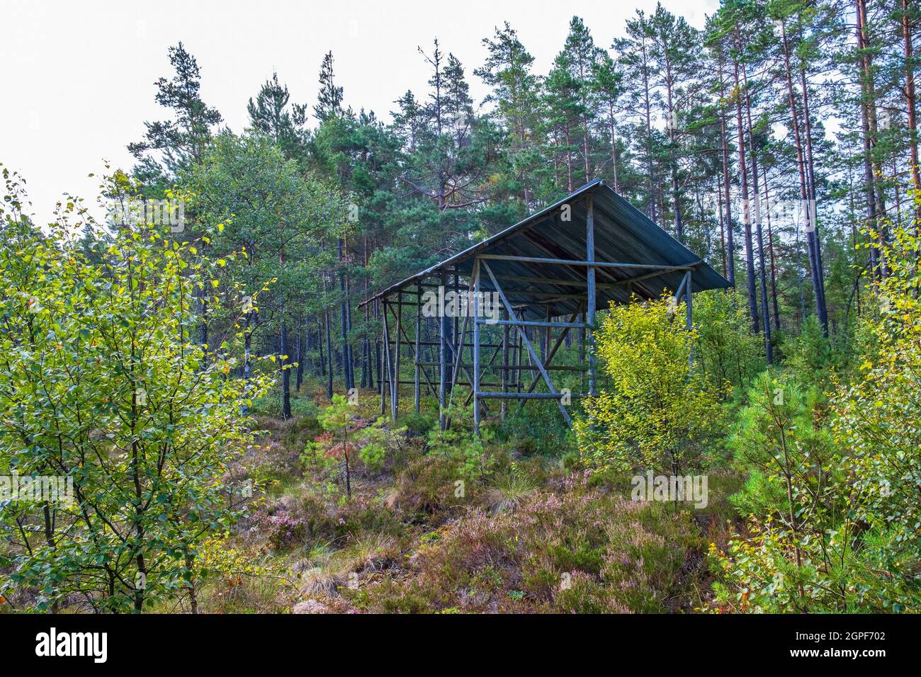 Scheune im wald -Fotos und -Bildmaterial in hoher Auflösung – Alamy