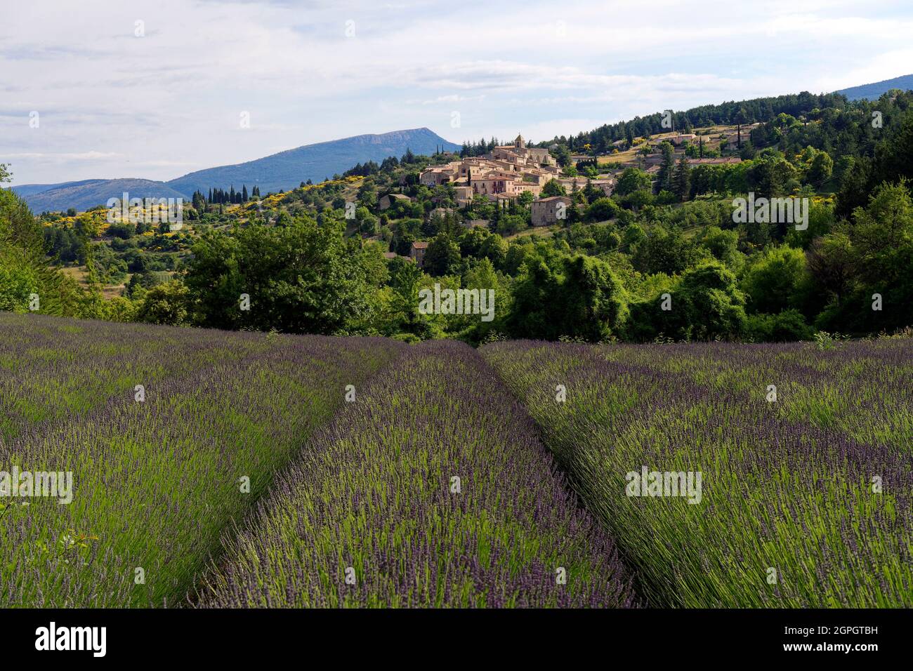 Bedoin dorf und mont ventoux -Fotos und -Bildmaterial in hoher ...