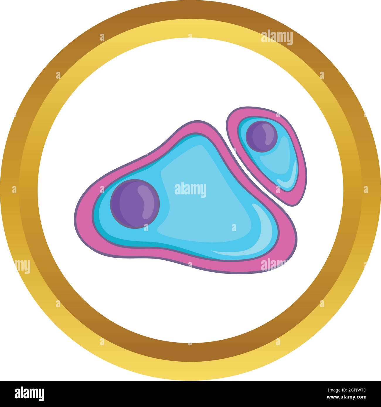 Zelle Kern Vektor icon Stock-Vektorgrafik - Alamy