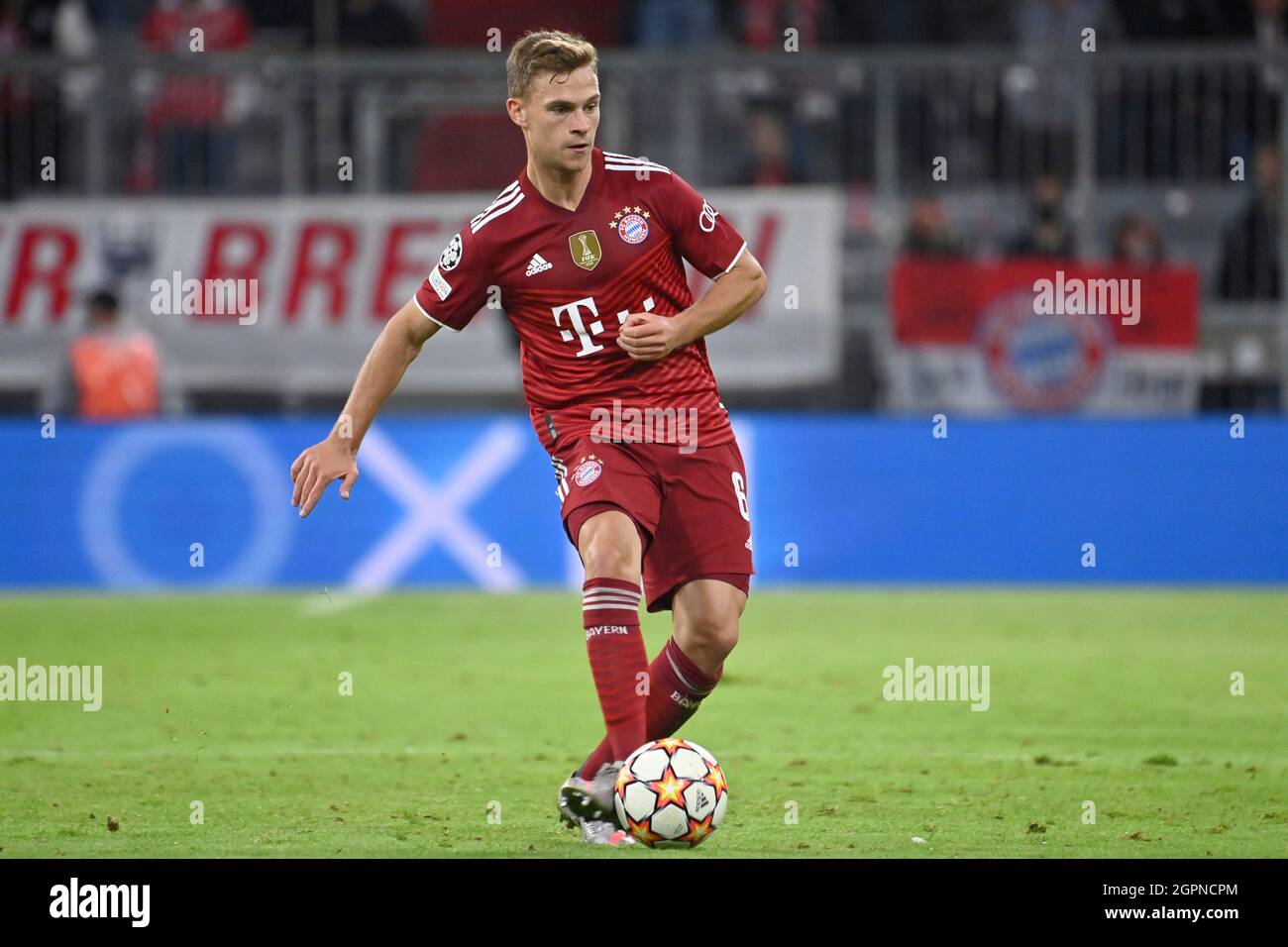 Joshua kimmich body -Fotos und -Bildmaterial in hoher Auflösung – Alamy
