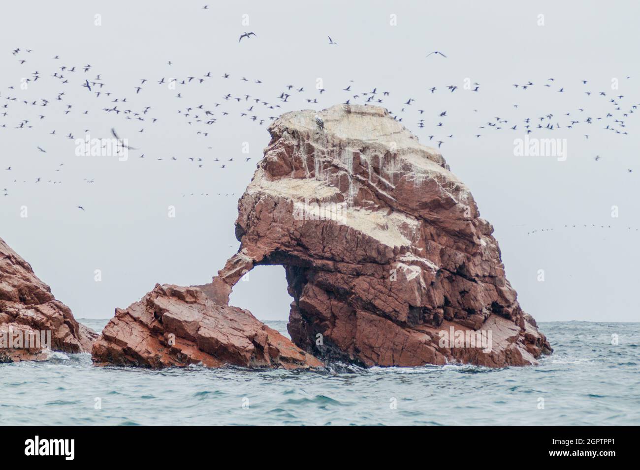 Ballestas inseln in paracas nationalpark -Fotos und -Bildmaterial in ...