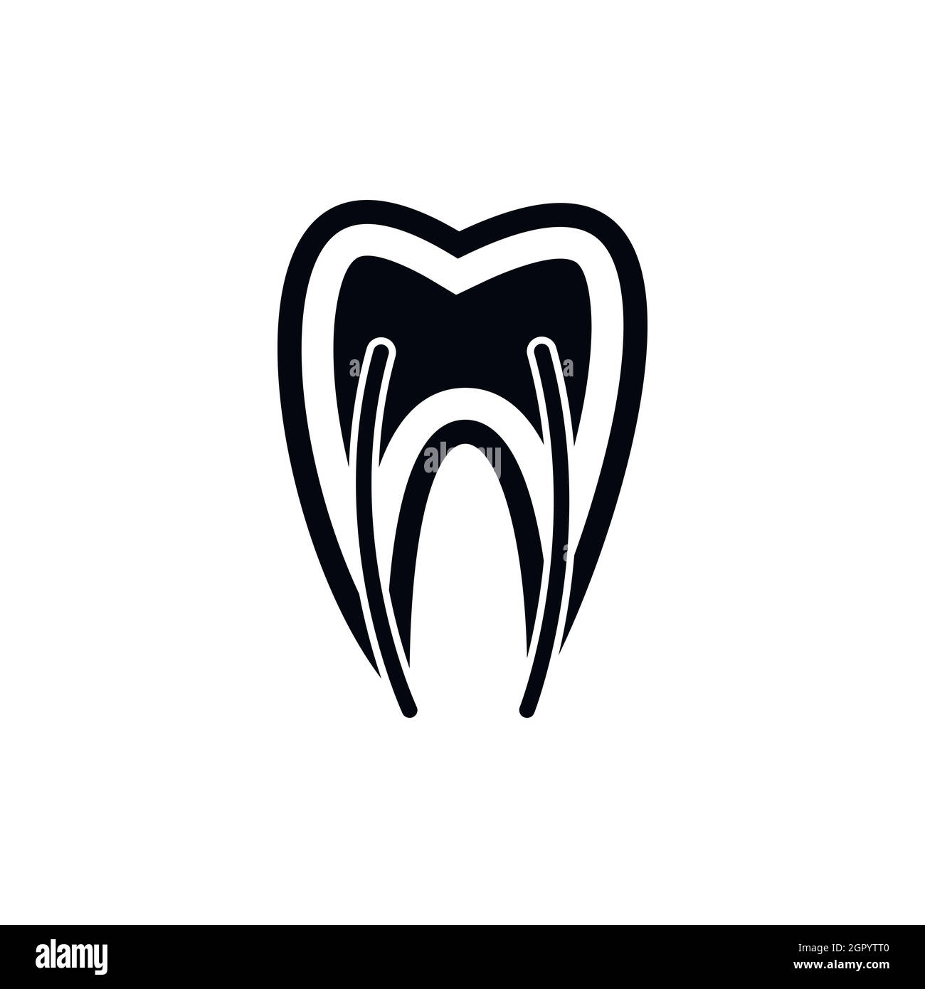 Zahnmedizin anatomie querschnitt -Fotos und -Bildmaterial in hoher ...