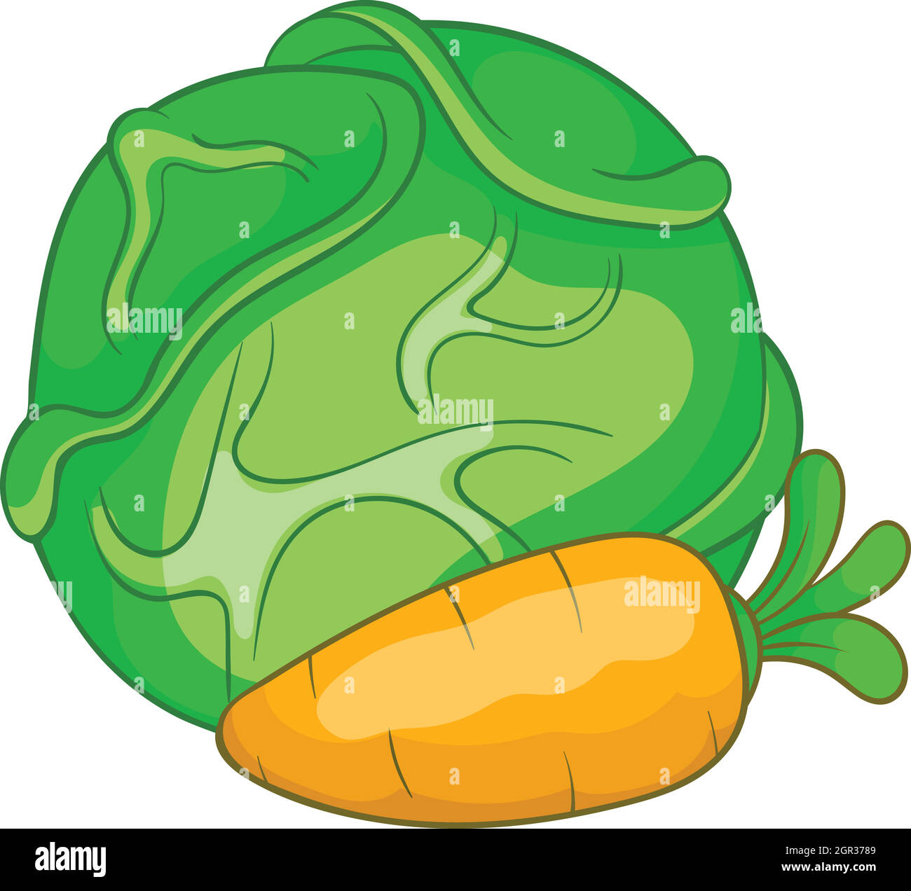 Salat rotkohl Stock-Vektorgrafiken kaufen - Alamy