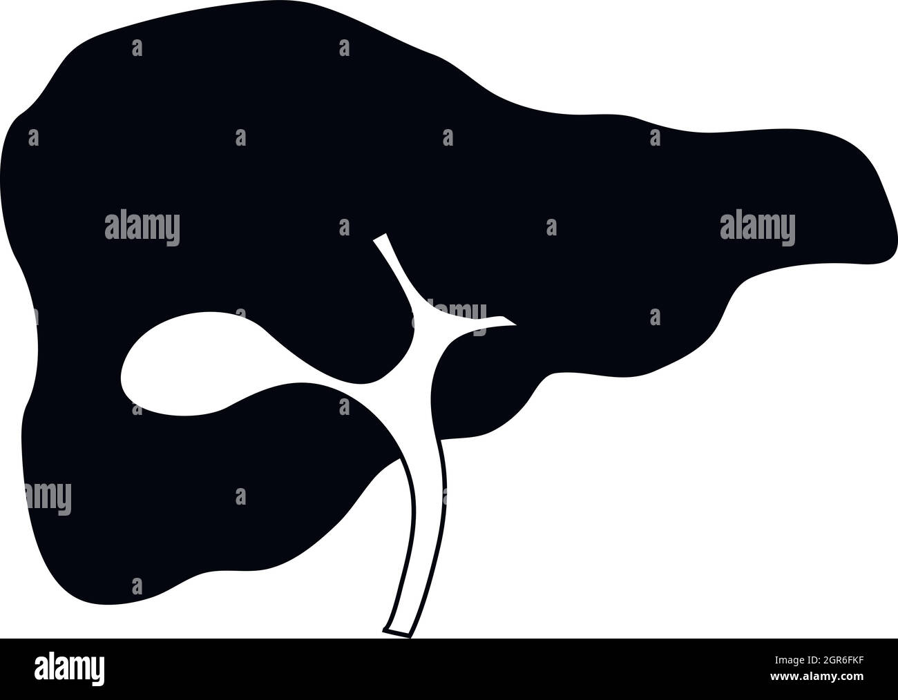 Leber anatomie Ausgeschnittene Stockfotos und -bilder - Alamy