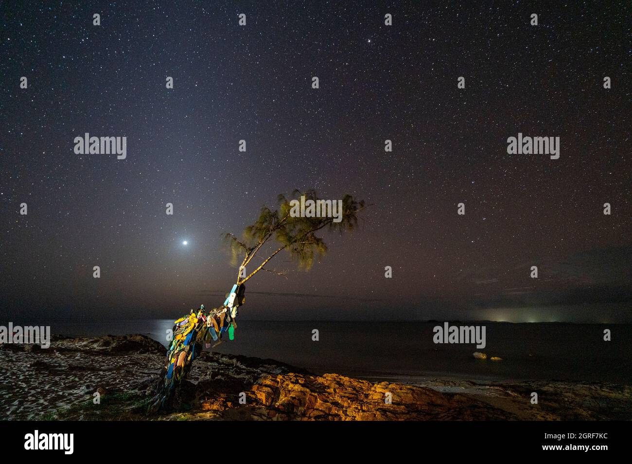 Thong Tree on Beach at Alau Beach Campground at Night Under, Alau Beach ...