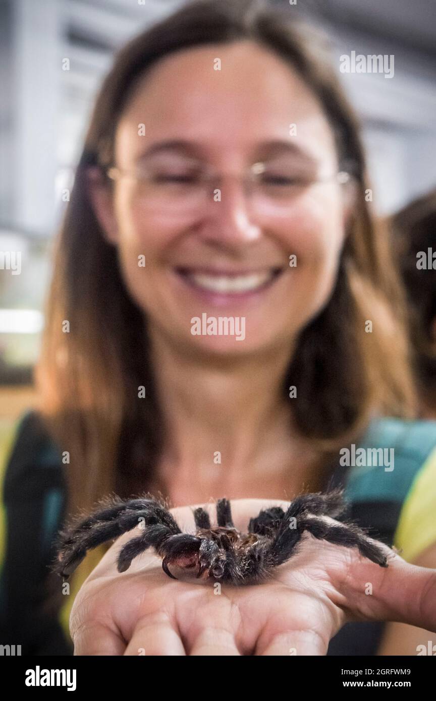 Dorf von roura -Fotos und -Bildmaterial in hoher Auflösung – Alamy