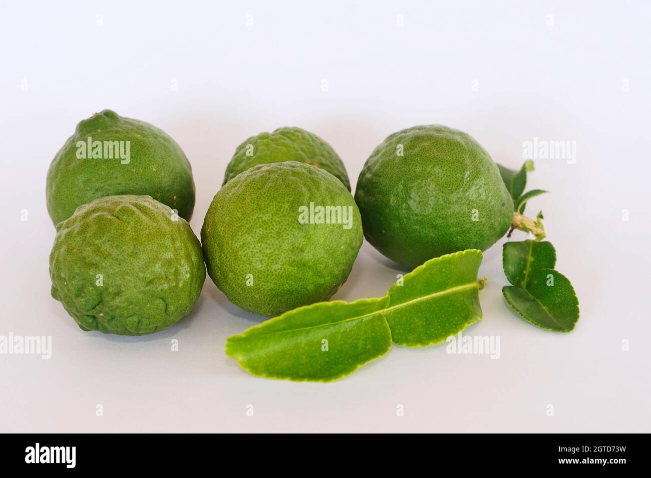 Kaffir limettenfrüchte -Fotos und -Bildmaterial in hoher Auflösung – Alamy