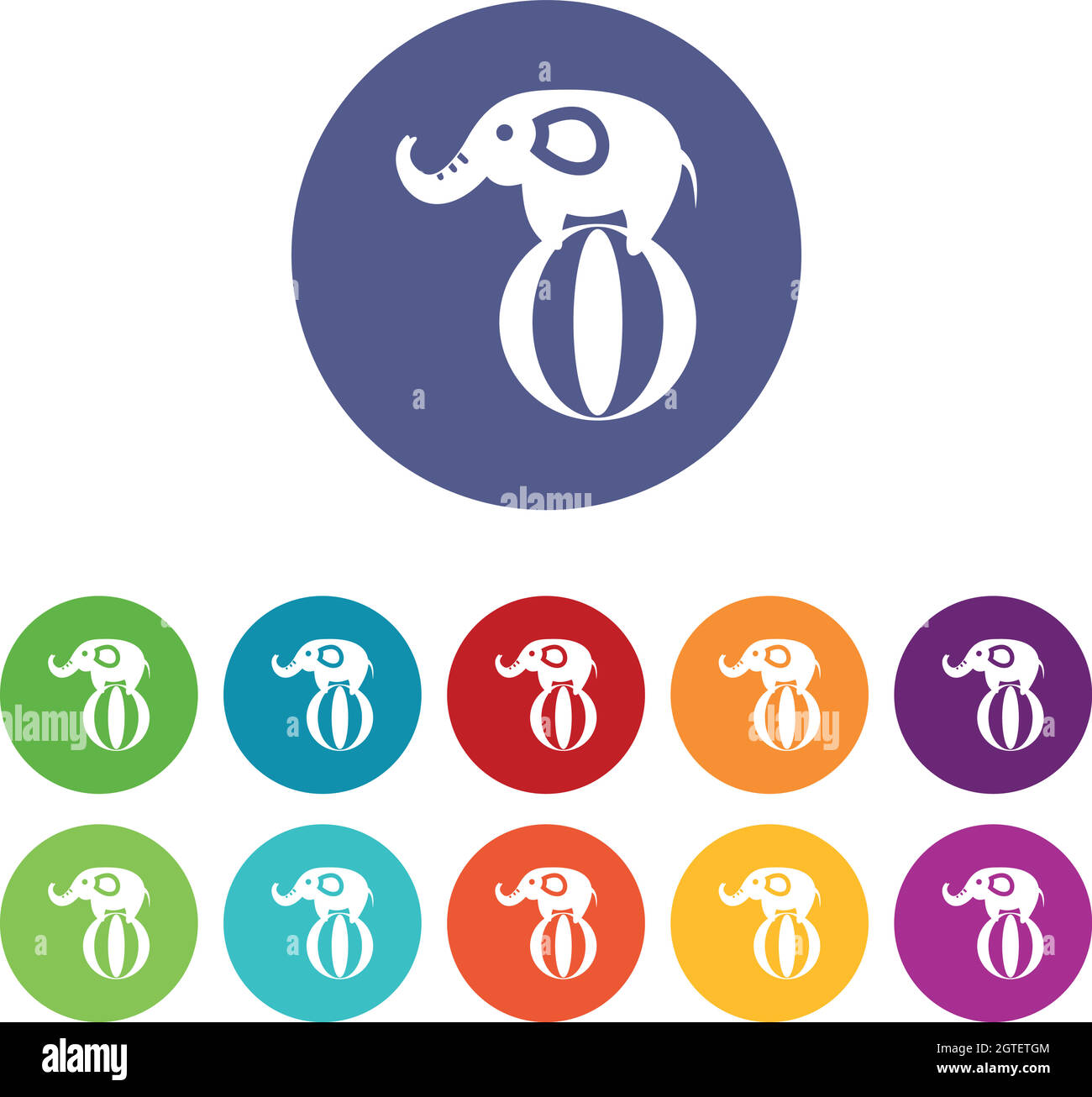 Elefant balanciert auf einem ball -Fotos und -Bildmaterial in hoher Auflösung – Alamy