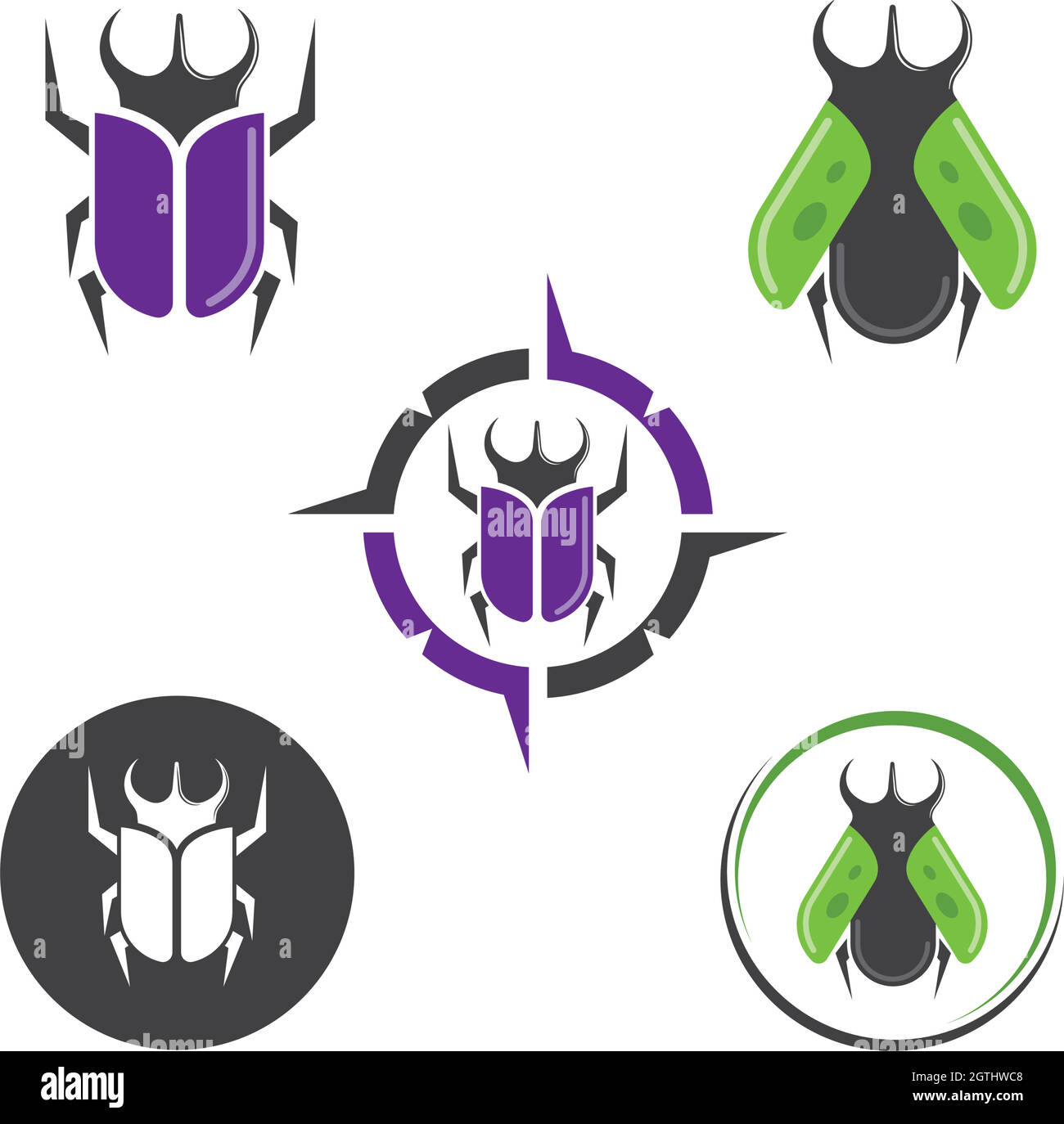 Kalligrapha serpentina -Fotos und -Bildmaterial in hoher Auflösung – Alamy