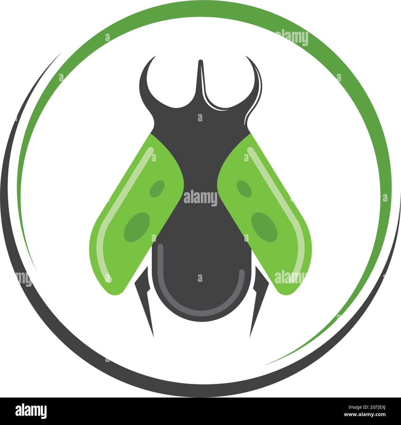 Kalligrapha serpentina -Fotos und -Bildmaterial in hoher Auflösung – Alamy