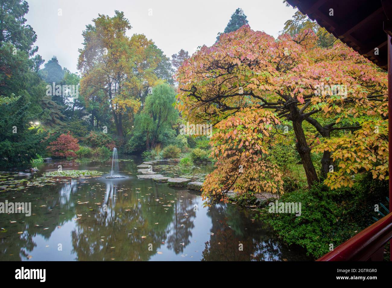 Japanischer garten in leverkusen autumn -Fotos und -Bildmaterial in ...