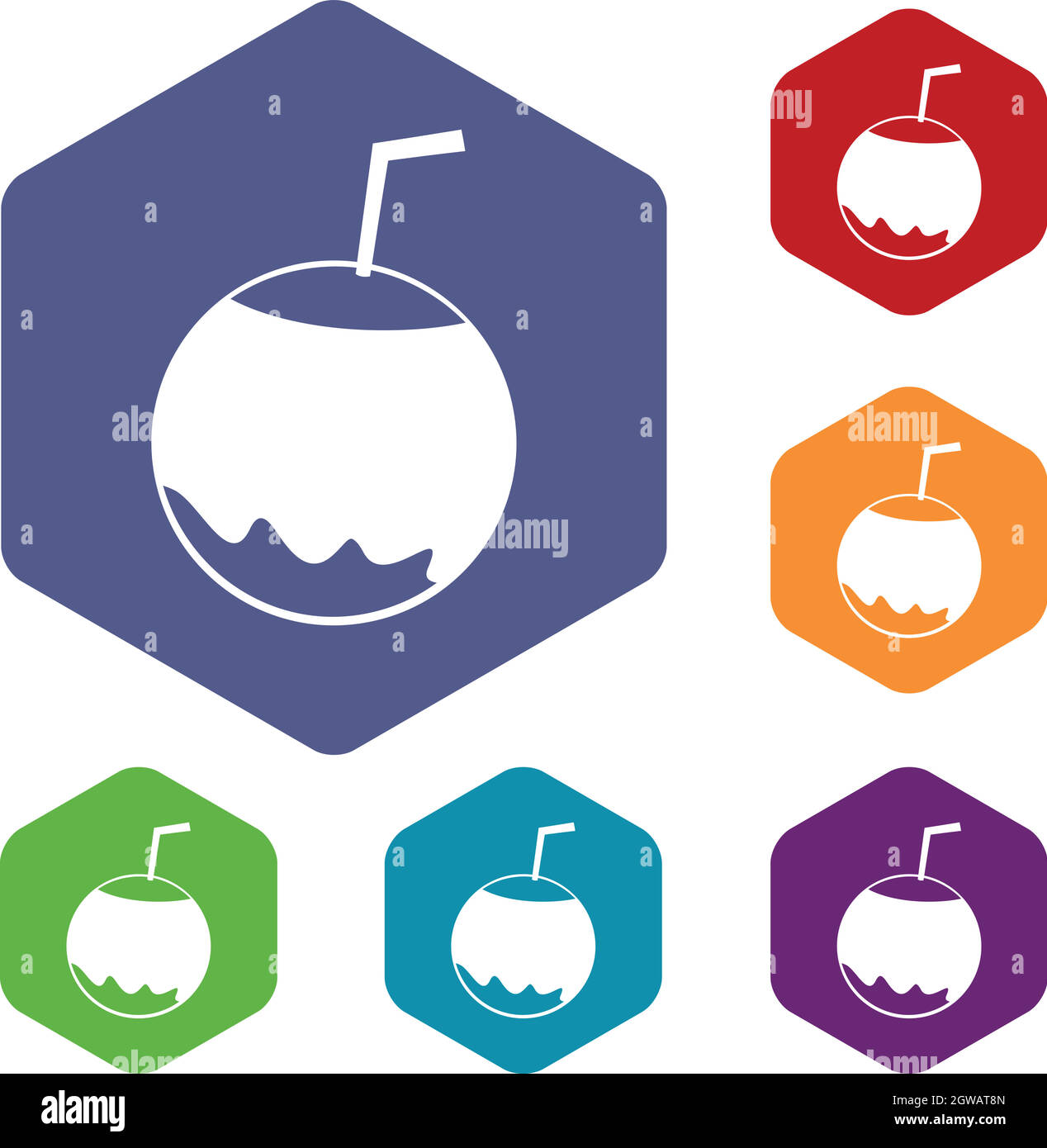 Asiatische nuss Stock-Vektorgrafiken kaufen - Alamy