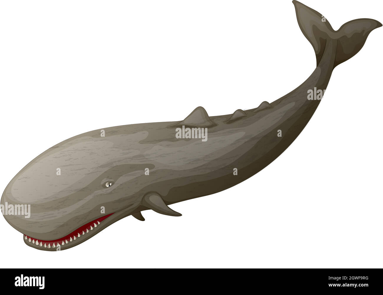 Wal auge Ausgeschnittene Stockfotos und -bilder - Alamy