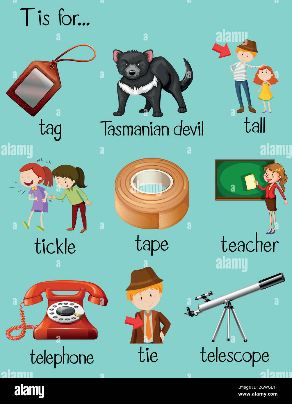 Tasmanian devil young Stock-Vektorgrafiken kaufen - Alamy