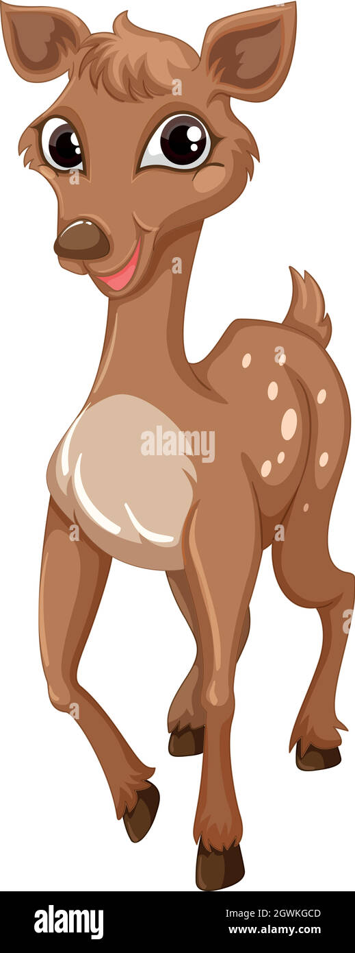 Rehkitz zeichnung Stock-Vektorgrafiken kaufen - Alamy