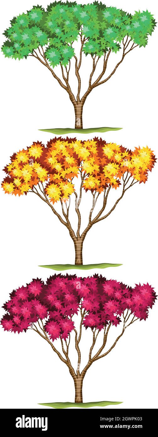 Drei verschiedene farben -Fotos und -Bildmaterial in hoher Auflösung – Alamy