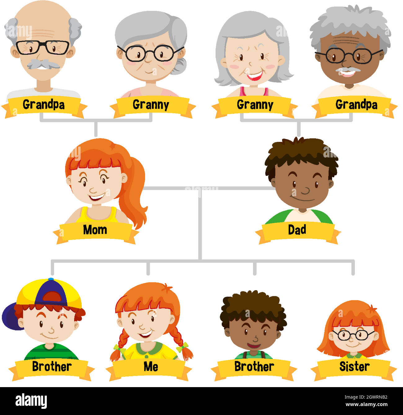 Diagramm, das den Stammbaum der Familie drei Generationen zeigt Stock ...