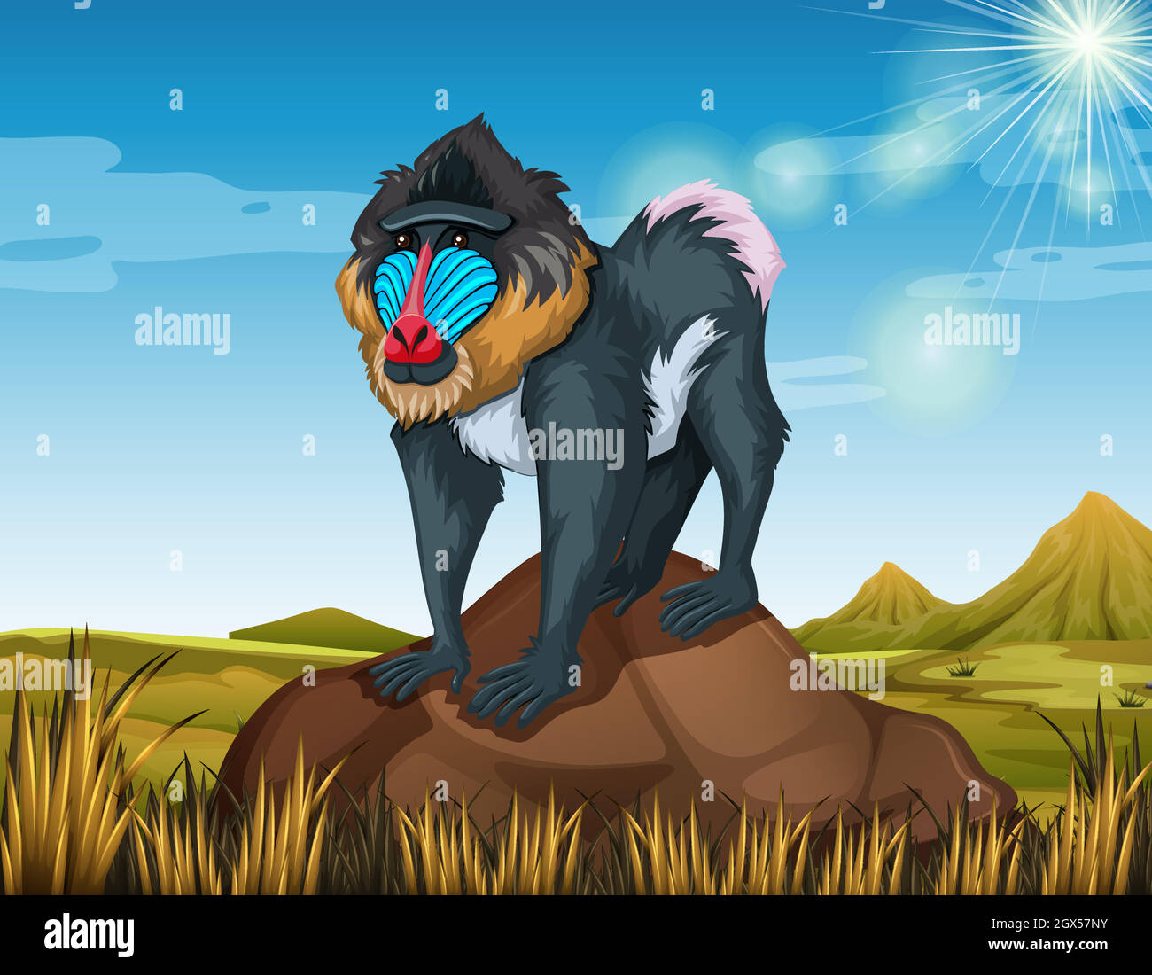 Pavian auf safari -Fotos und -Bildmaterial in hoher Auflösung – Alamy