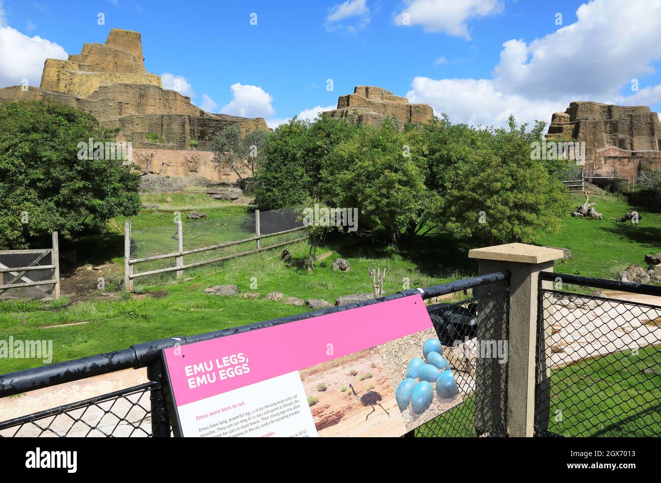 Terrassen im zoo -Fotos und -Bildmaterial in hoher Auflösung – Alamy