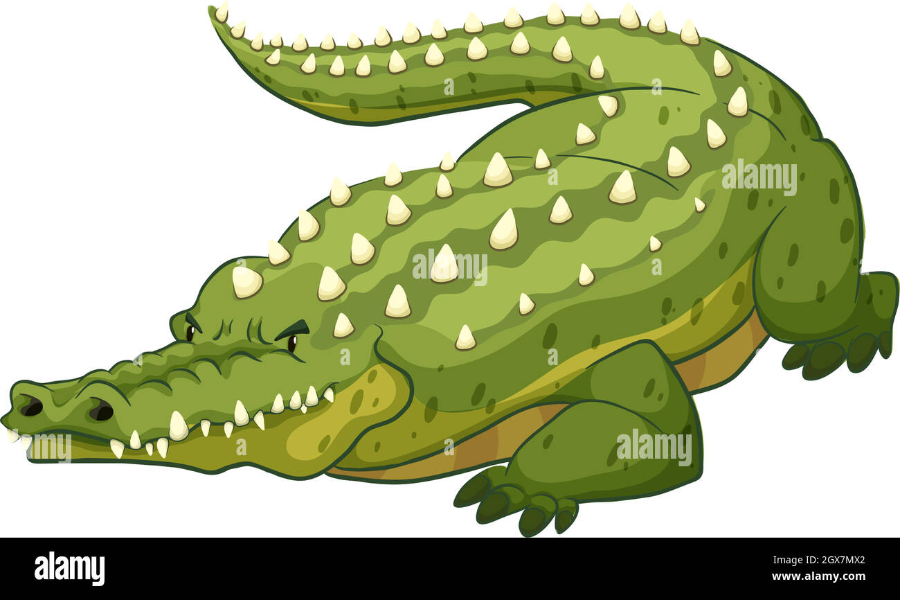 Riesiges krokodil -Fotos und -Bildmaterial in hoher Auflösung – Alamy