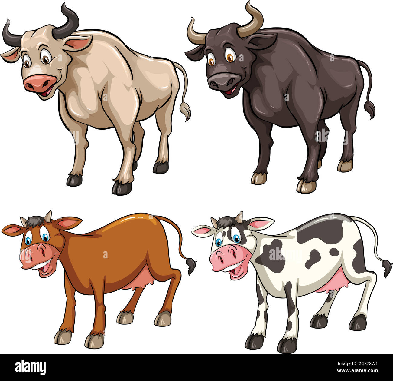 Verschiedene Arten von Kühen Stock-Vektorgrafik - Alamy