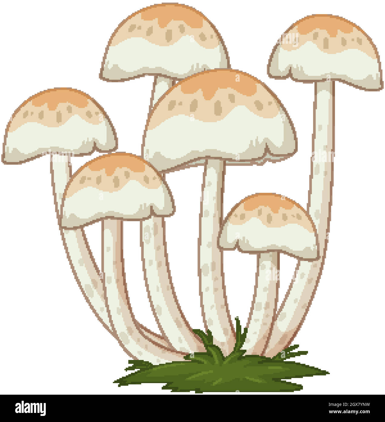 Pilze cartoon -Fotos und -Bildmaterial in hoher Auflösung – Alamy