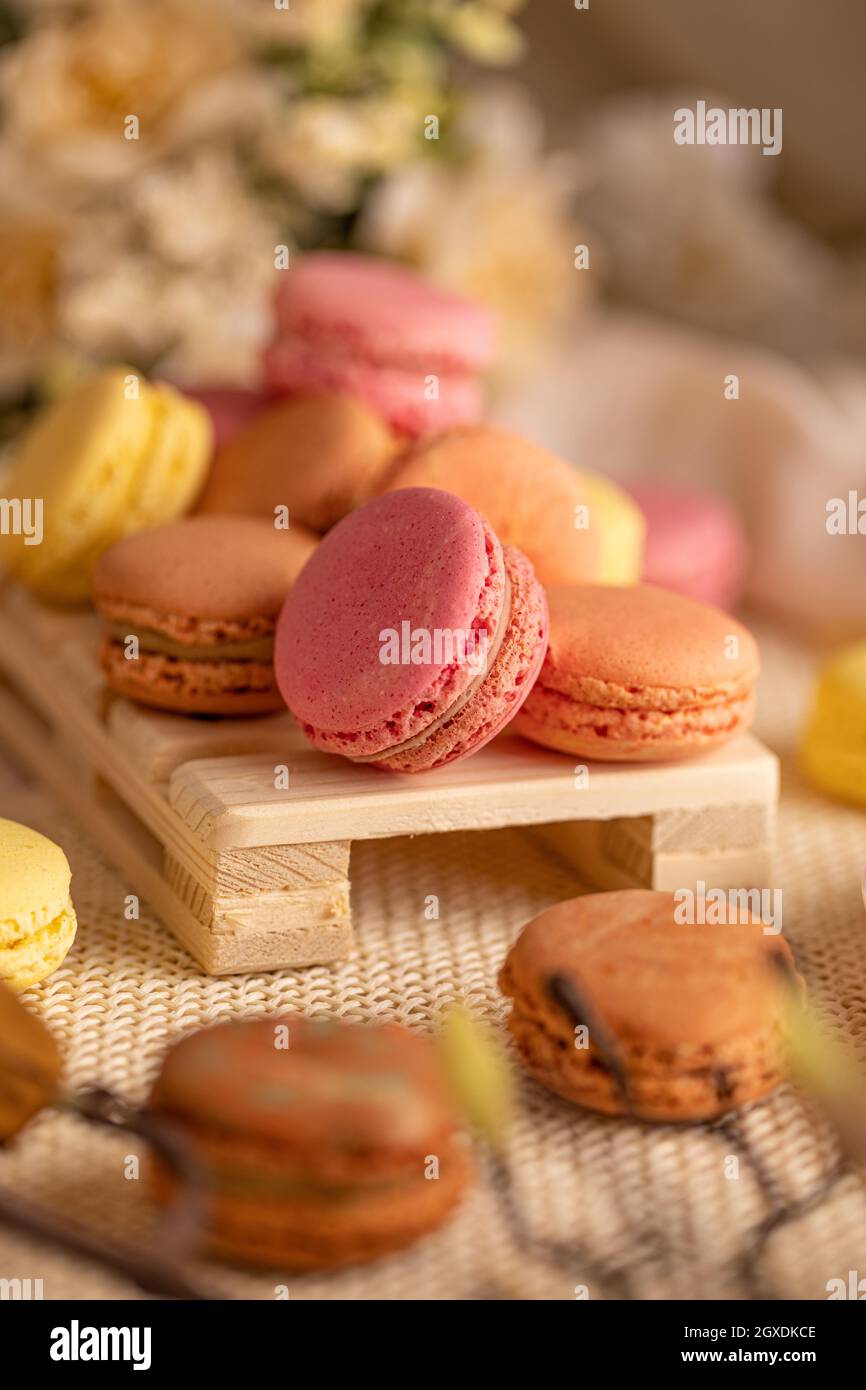 Macaron muscheln -Fotos und -Bildmaterial in hoher Auflösung – Alamy