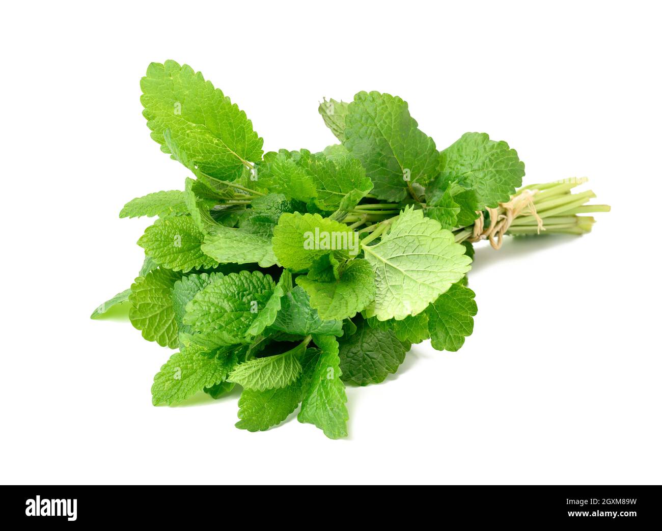 Die garbe von stängeln -Fotos und -Bildmaterial in hoher Auflösung – Alamy