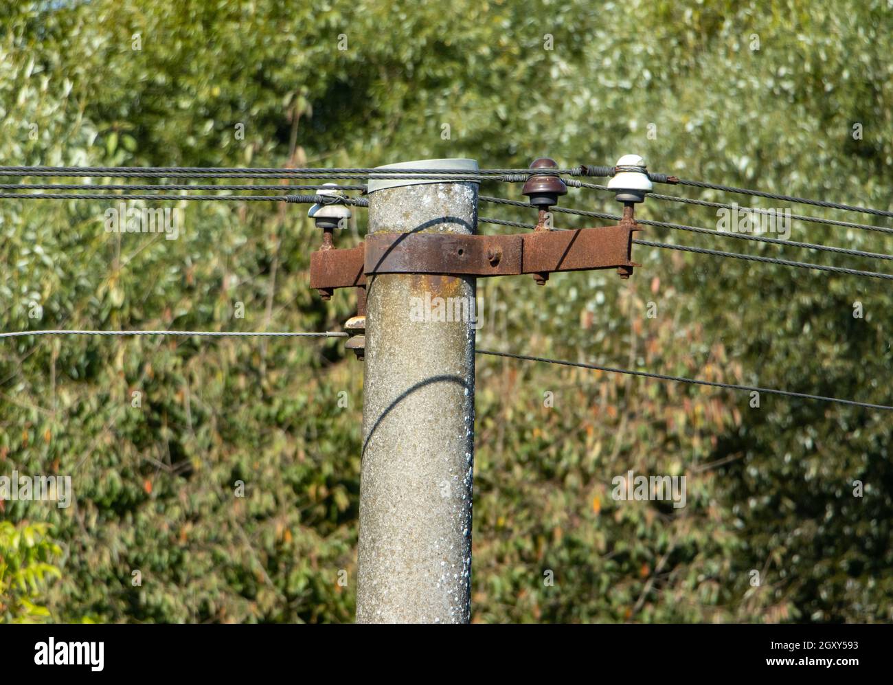 Betonmast mit Metallhalterung, die Porzellanisolatoren mit elektrischer ...