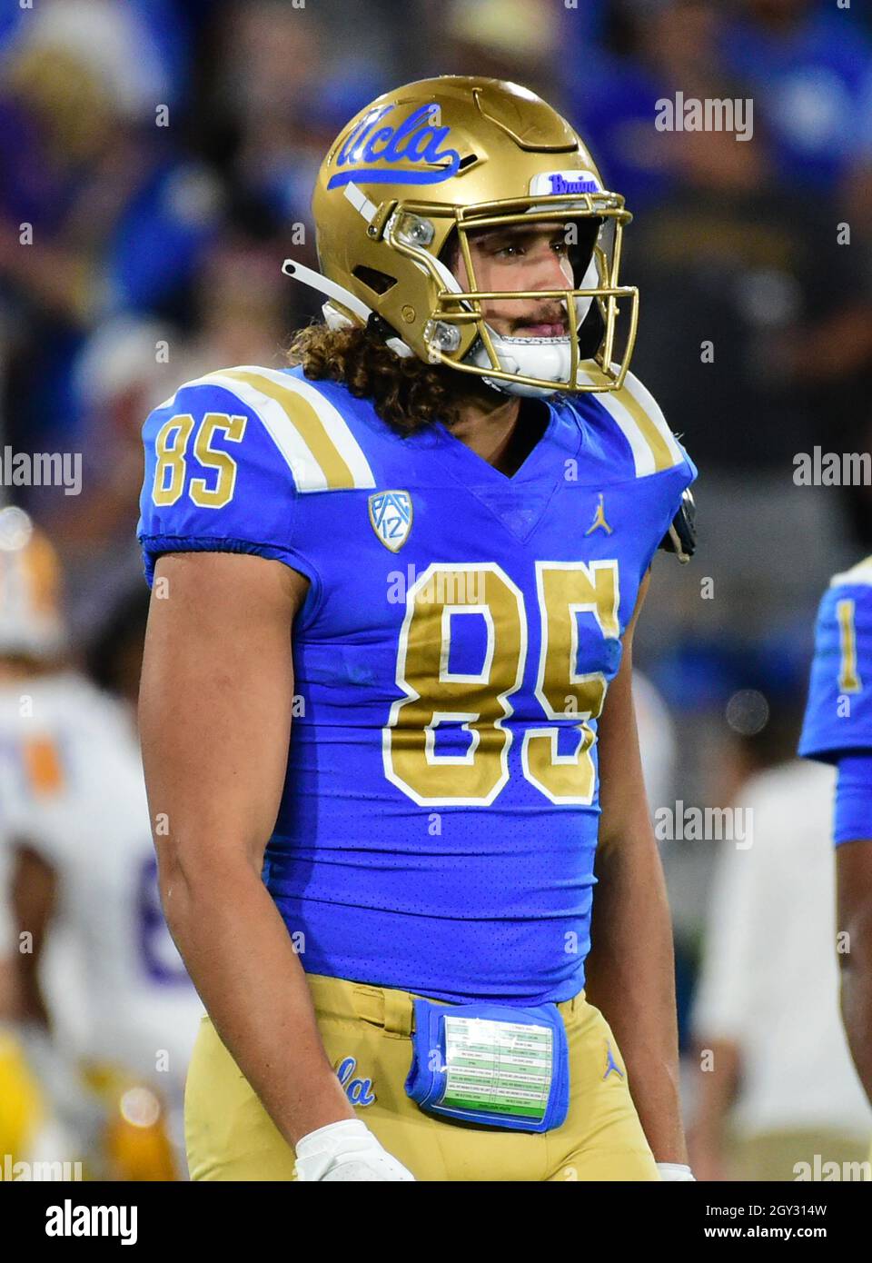 Pasadena, CA. September 2021. UCLA Bruins Tight End (85) Greg Dulcich ...