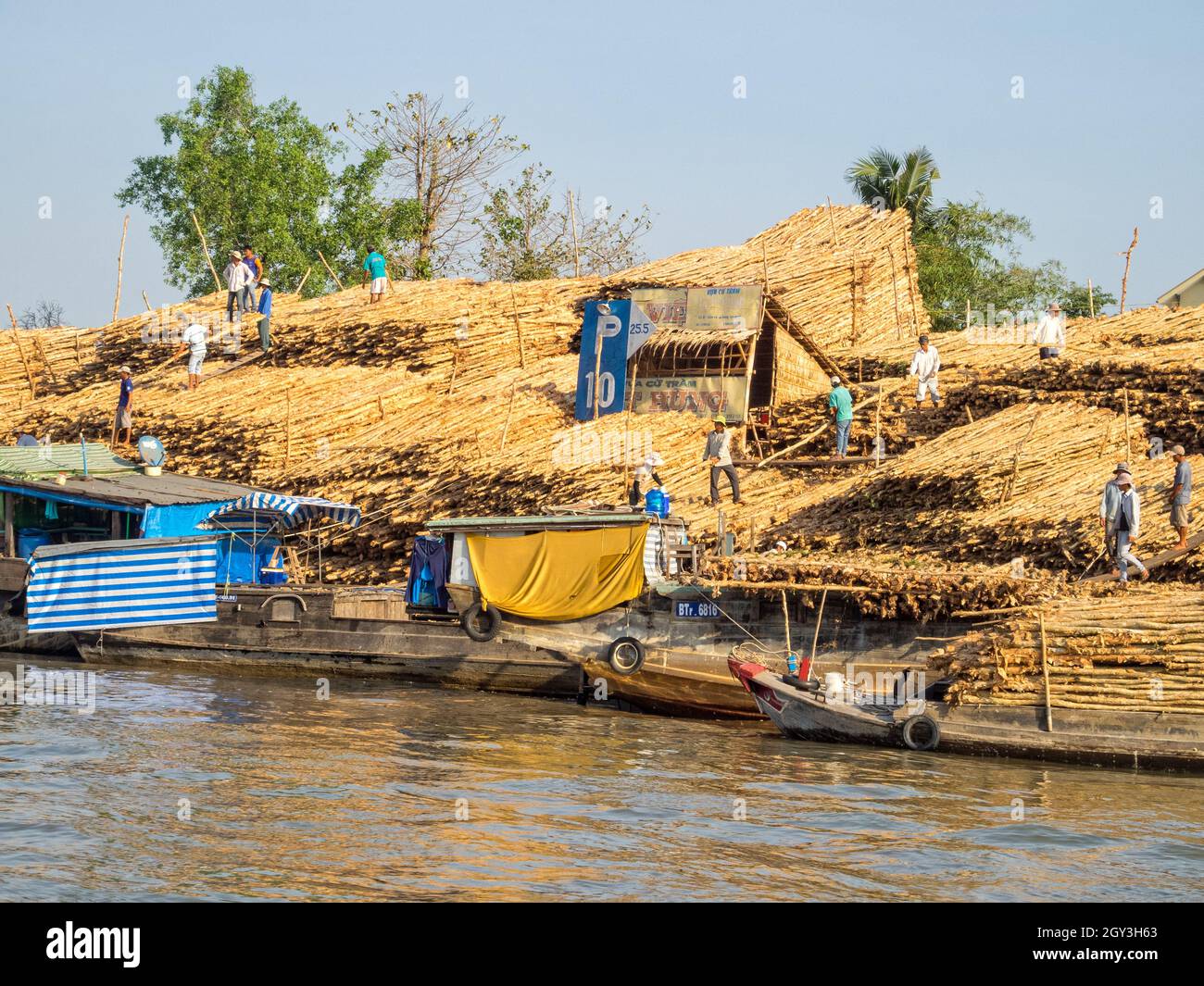 Ein Boot, das mit Holz aus riesigen Baumstämmen beladen ist - Can Tho ...