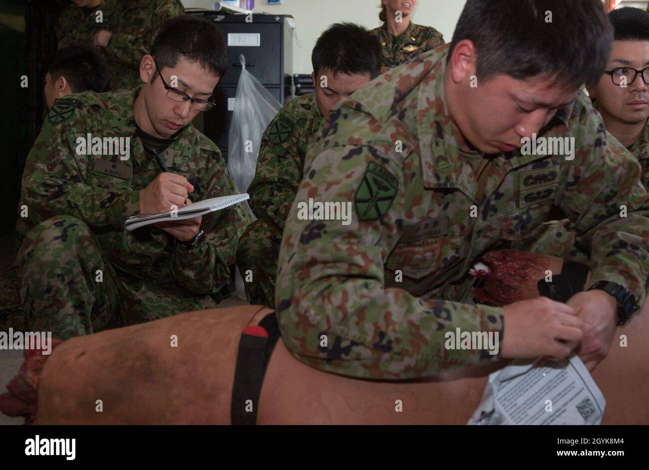 Masaki mori -Fotos und -Bildmaterial in hoher Auflösung – Alamy