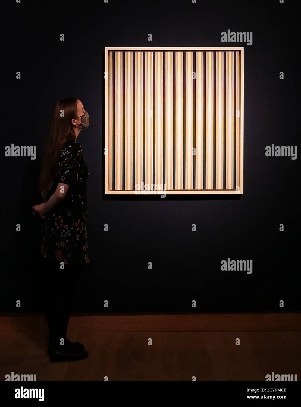 Werke von Jean-Michel Basquiat , Peter Doig , david Hockney , Bridget ...