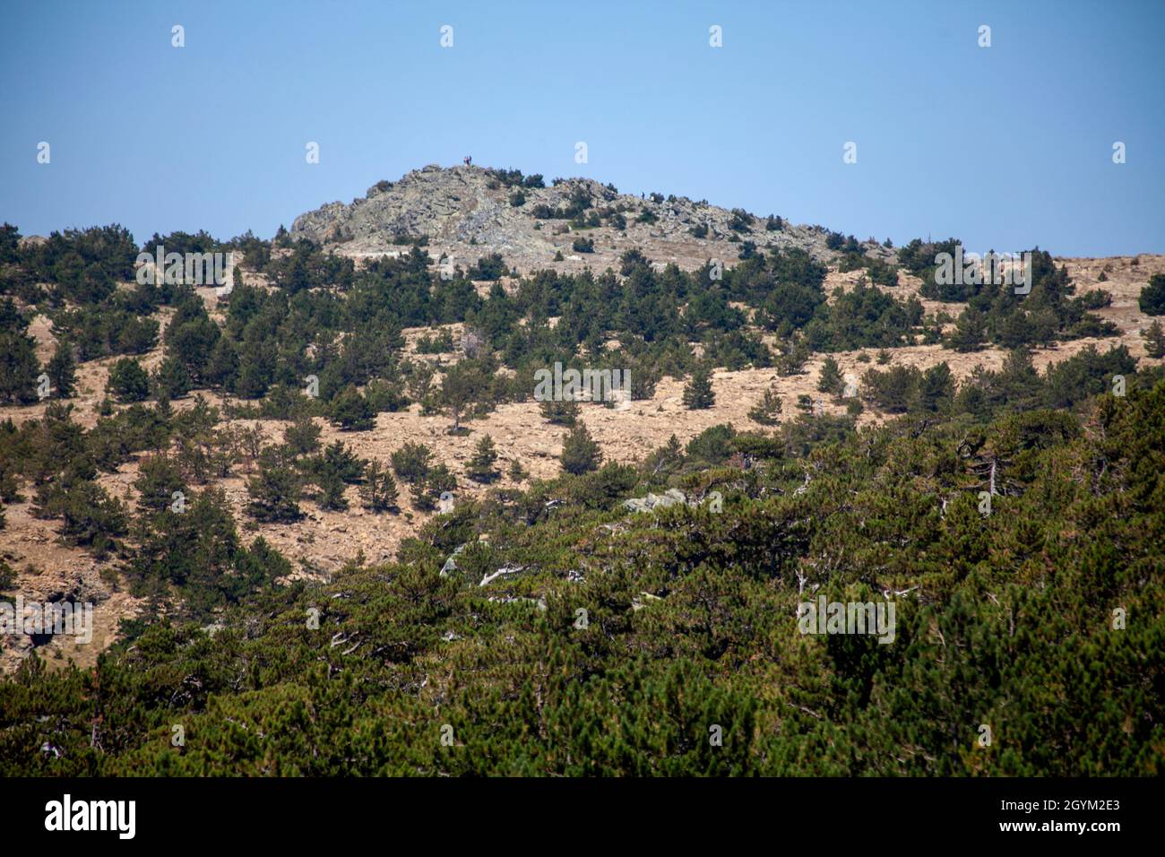 IDA Mountain-Kaz Daglari in der Türkei. (Auf Türkisch: Kazdagi, was ...