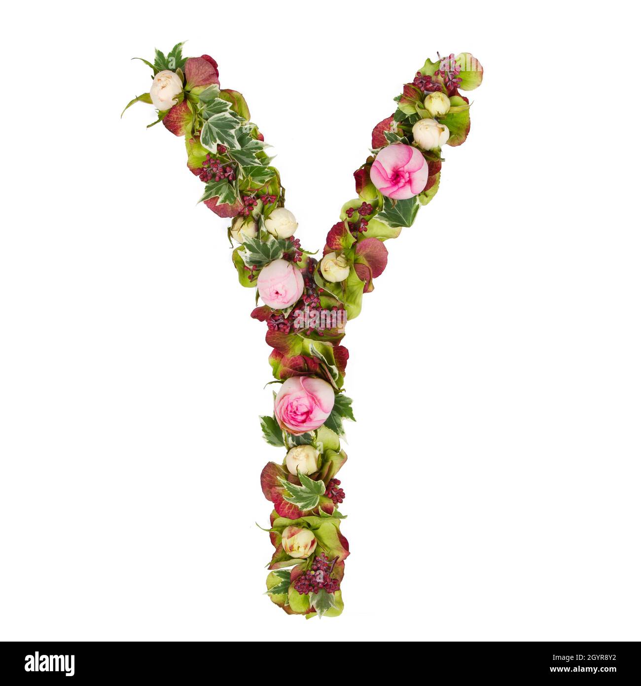 Y buchstaben des alphabets -Fotos und -Bildmaterial in hoher Auflösung ...