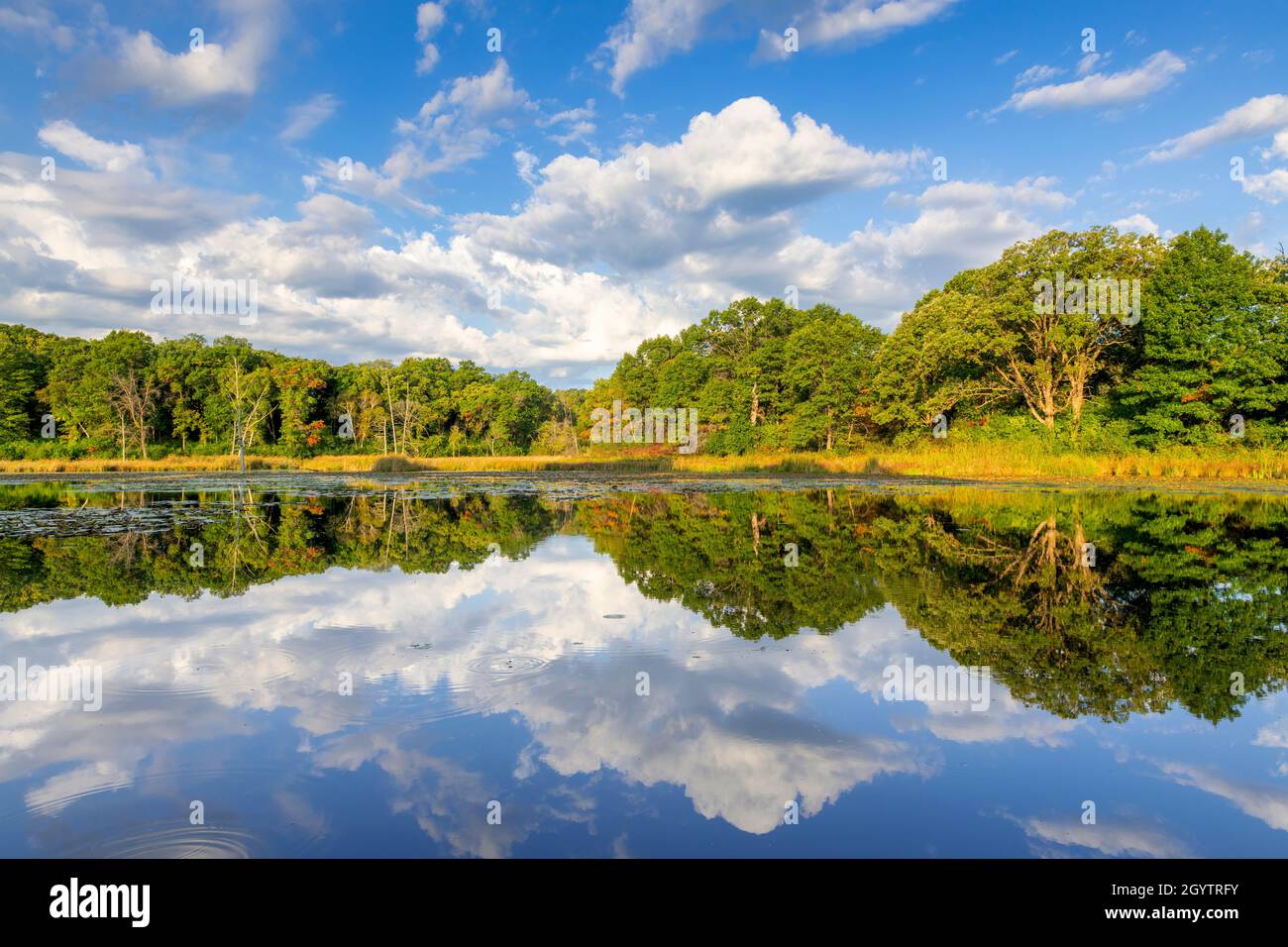 William obrian state park -Fotos und -Bildmaterial in hoher Auflösung ...