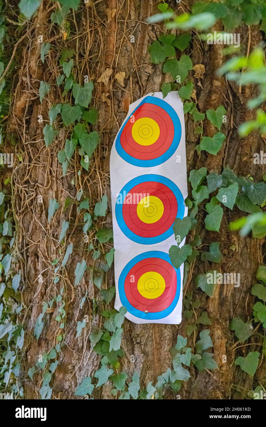 Blowgun darts -Fotos und -Bildmaterial in hoher Auflösung – Alamy