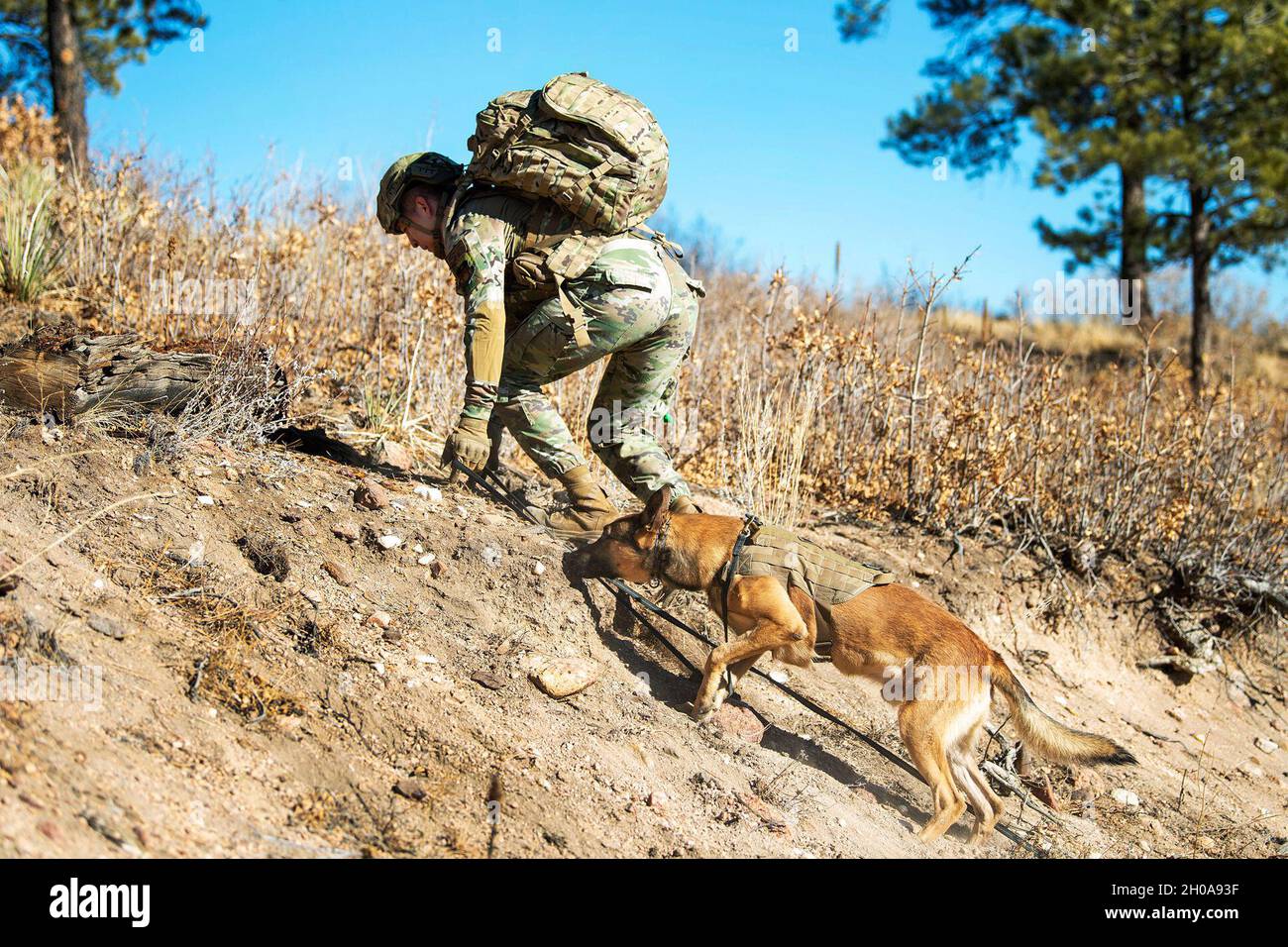 U.S. AIR FORCE ACADEMY, Colorado – Sergeant Angel Trejo und sein K-9 ...