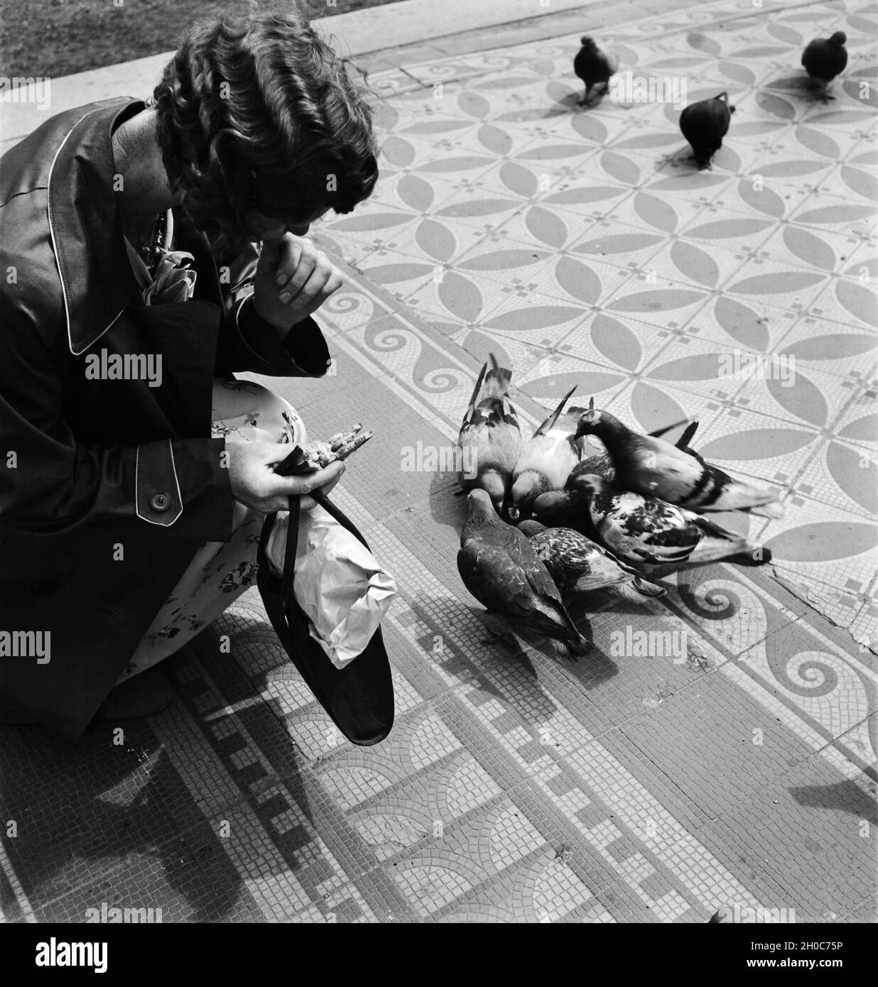 Karl taube -Fotos und -Bildmaterial in hoher Auflösung – Alamy