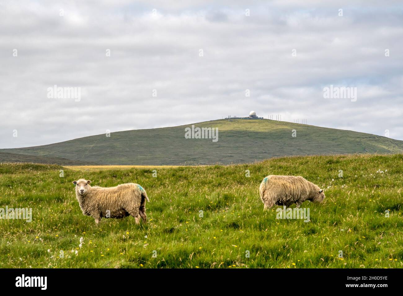Saxa vord raumhafen -Fotos und -Bildmaterial in hoher Auflösung – Alamy