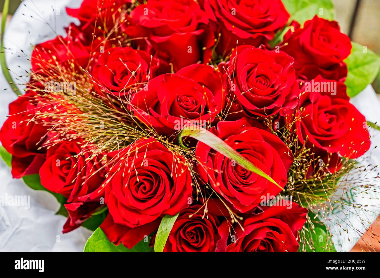 Romantik der rosen -Fotos und -Bildmaterial in hoher Auflösung – Alamy